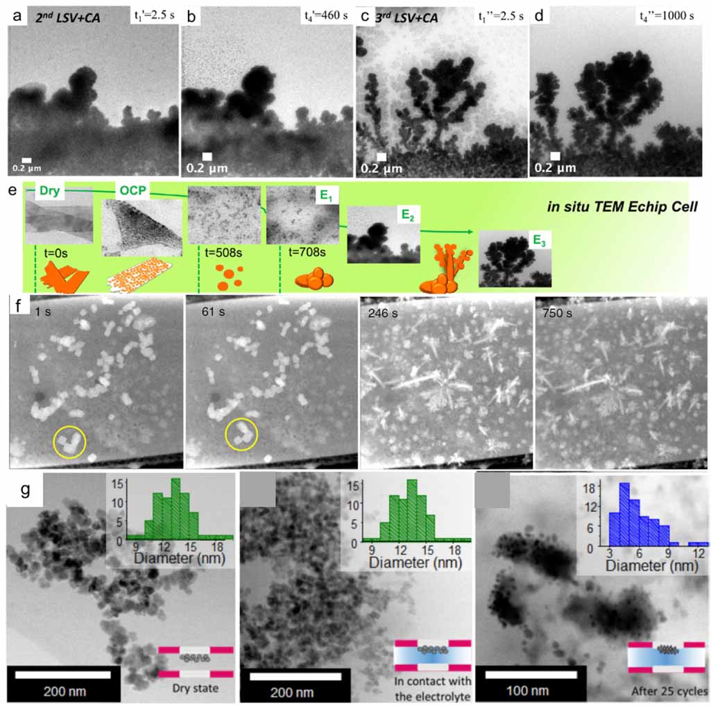 Dynamic evolution of metal nanoclusters revealed by in-situ electron ...