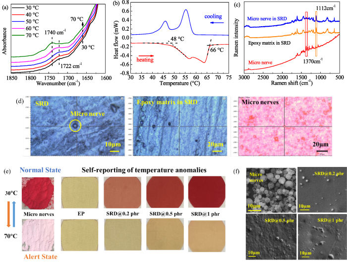 Endowing smart self-reporting epoxy composites with superior electrical ...