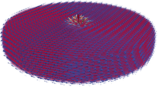 Multi-phase field modeling and simulation of magnetically driven grain ...