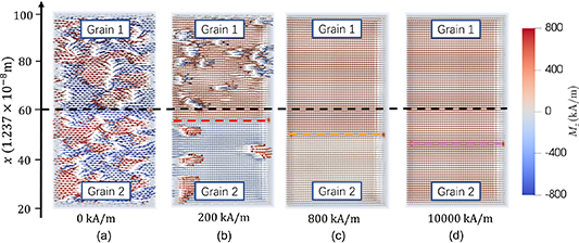 Multi-phase field modeling and simulation of magnetically driven grain ...