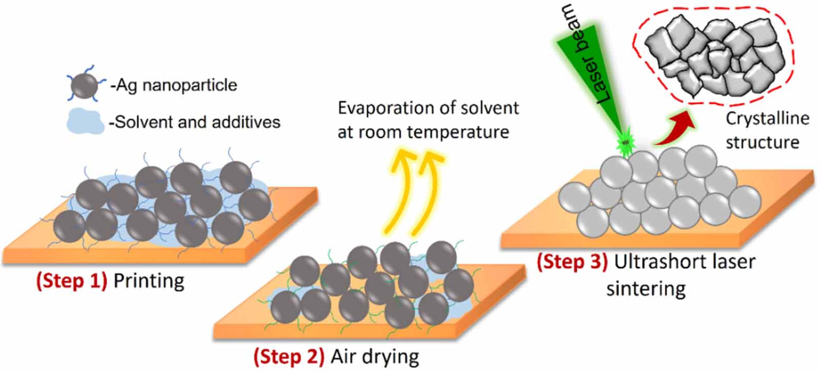 Ultrashort laser sintering of printed silver nanoparticles on thin ...