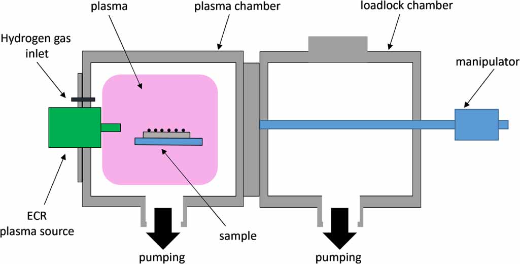 The impact of hydrogen plasma on the structure and morphology of tin ...