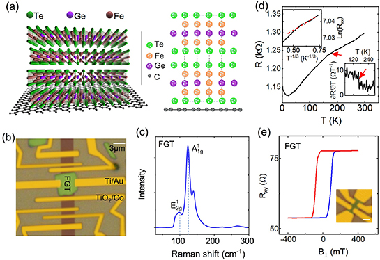 Strong perpendicular anisotropic ferromagnet Fe3GeTe2/graphene van der ...