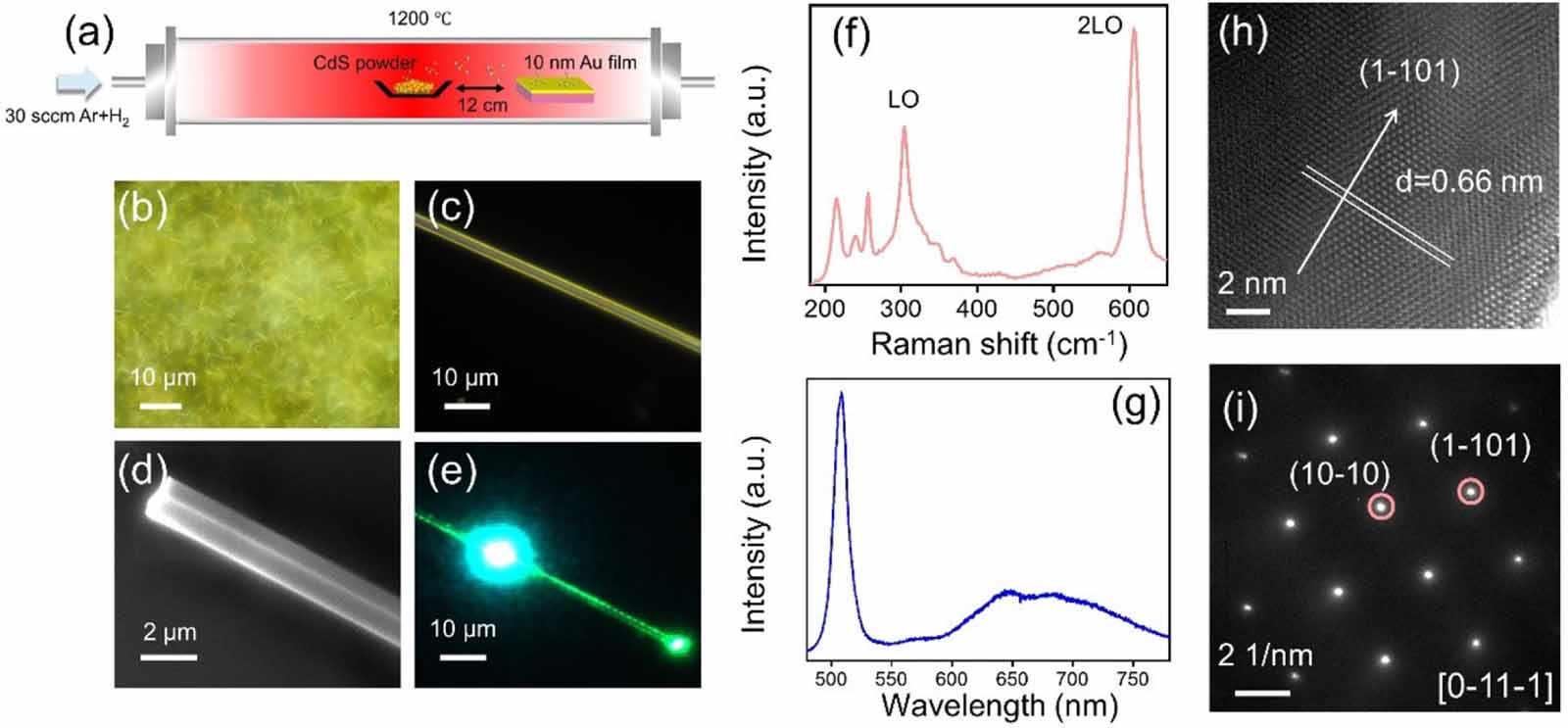 Enhanced photoresponse of the CdS microwire photodetectors based on ...