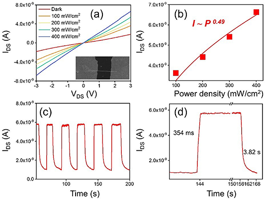 Enhanced photoresponse of the CdS microwire photodetectors based on ...