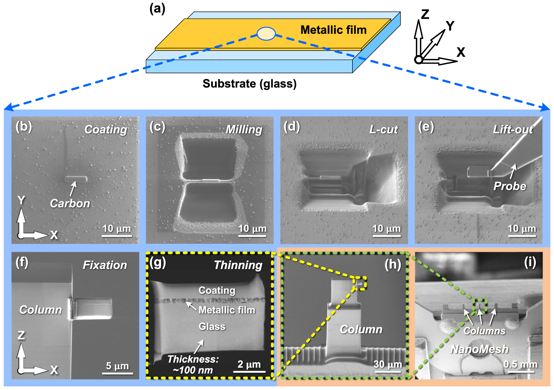 Microstructural modification of metallic thin films via high-frequency ...