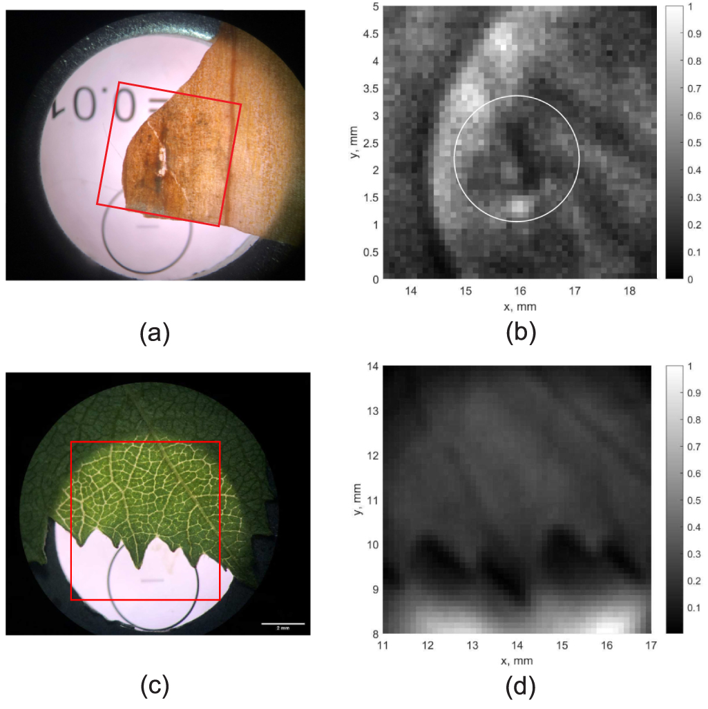 Terajet-assisted time-domain super-resolution imaging - IOPscience