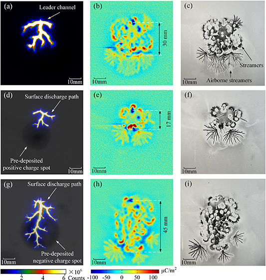 Mechanisms of charge-induced surface discharge under positive impulse ...