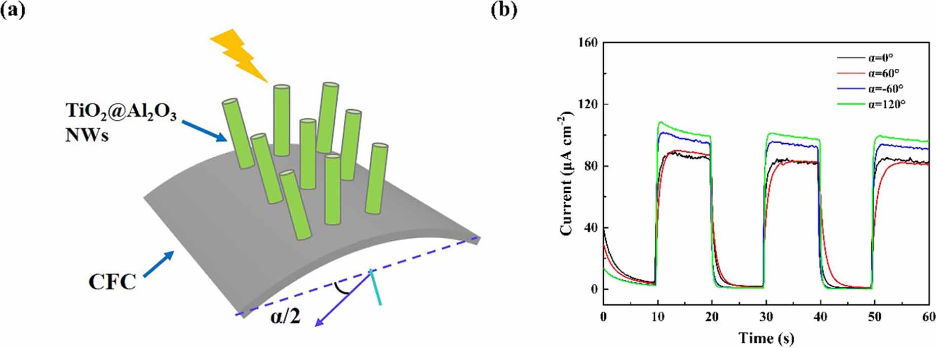 Preparation of a flexible photoanode of the photoelectrochemical ...
