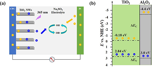 Preparation of a flexible photoanode of the photoelectrochemical ...