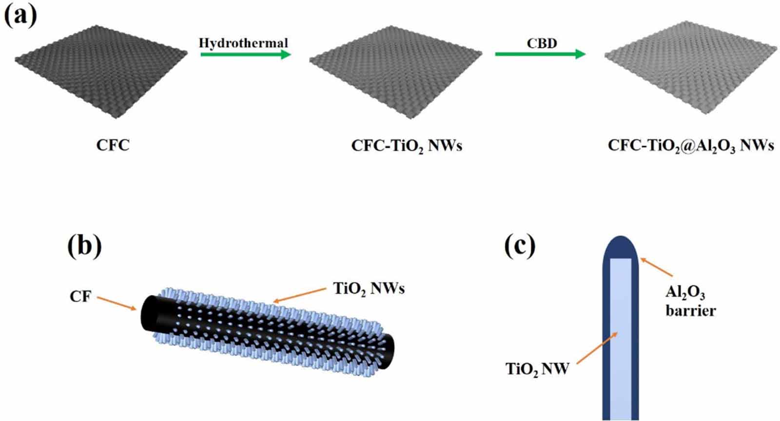 Preparation of a flexible photoanode of the photoelectrochemical ...