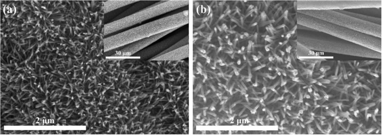 Preparation of a flexible photoanode of the photoelectrochemical ...