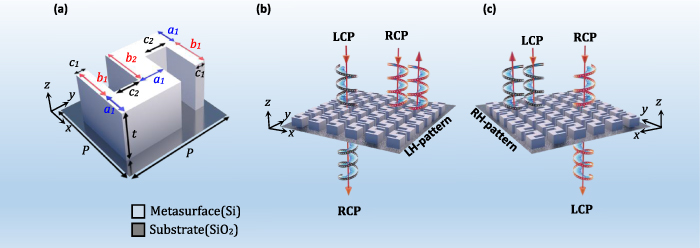 Maximal circular polarization isolation and asymmetric polarization ...