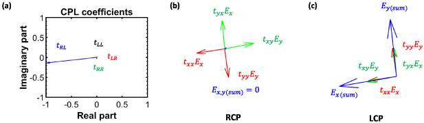 Maximal circular polarization isolation and asymmetric polarization ...
