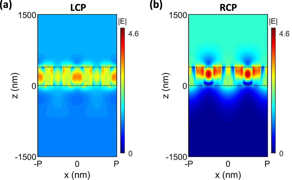 Maximal circular polarization isolation and asymmetric polarization ...