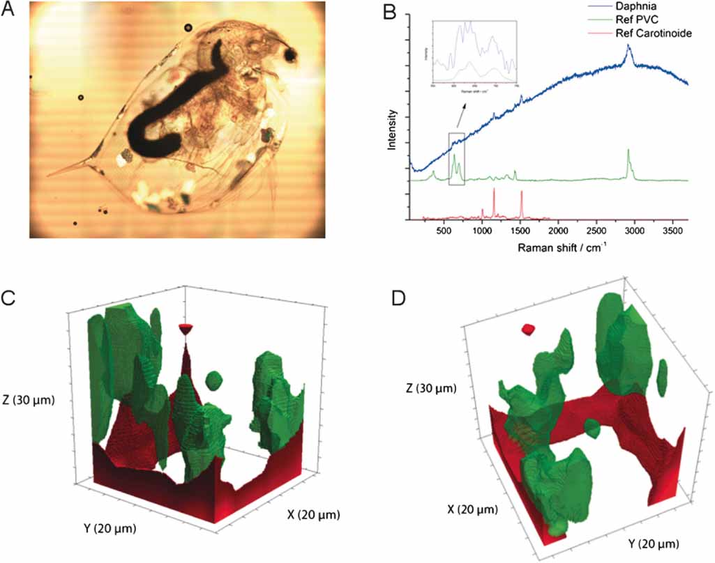 High-resolution characterization technology for micro-/nano-plastics ...
