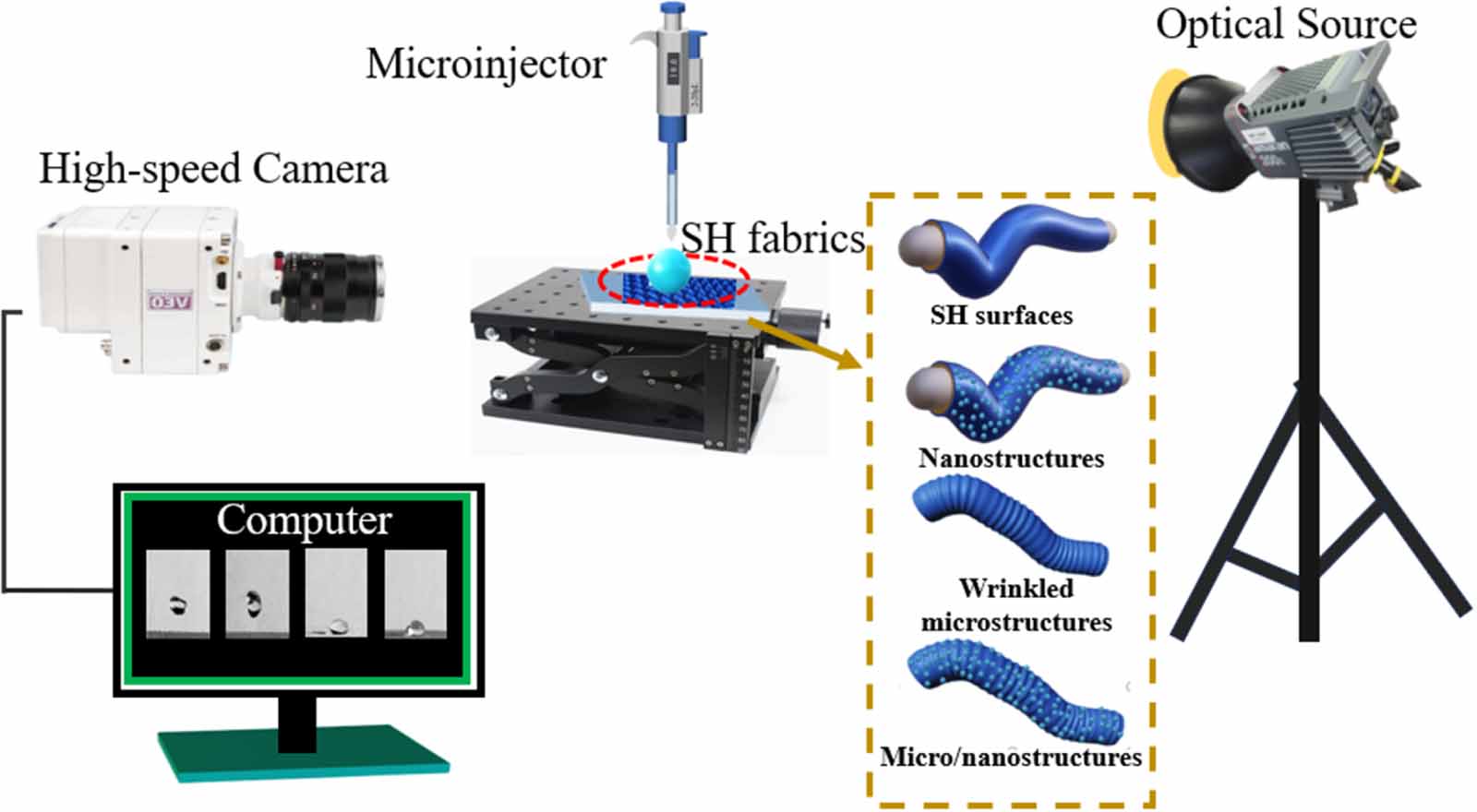 Modelling and preparation of composite wrinkled structures on polyester ...
