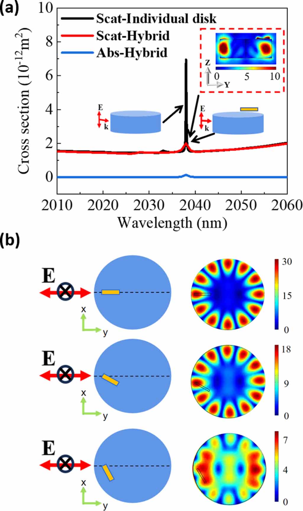 Coherent energy transfers between orthogonal modes of a dielectric ...