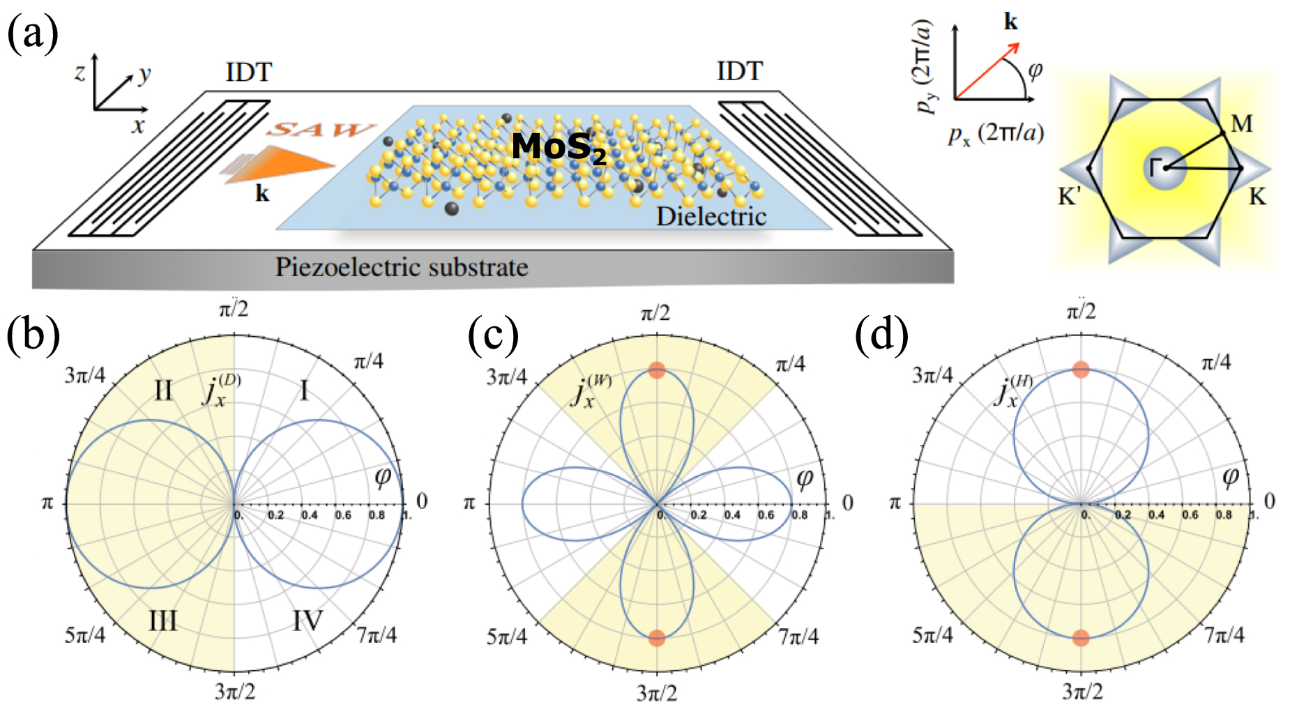 Surface acoustic wave induced transport and strain phenomena in van der ...