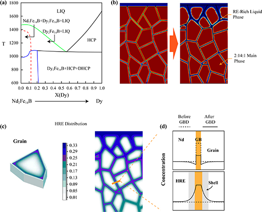 Grain boundary diffusion mechanism in Dy-diffused Nd–Fe–B sintered ...