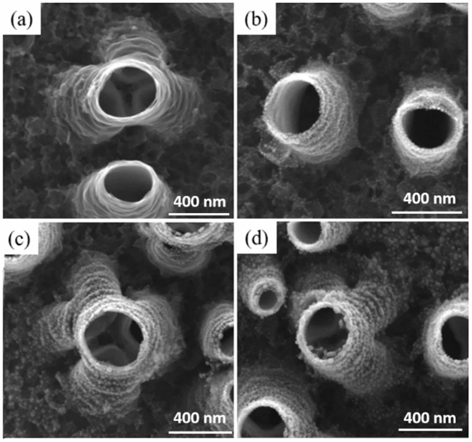 TiO2 multi-leg nanotubes for surface-enhanced Raman scattering - IOPscience
