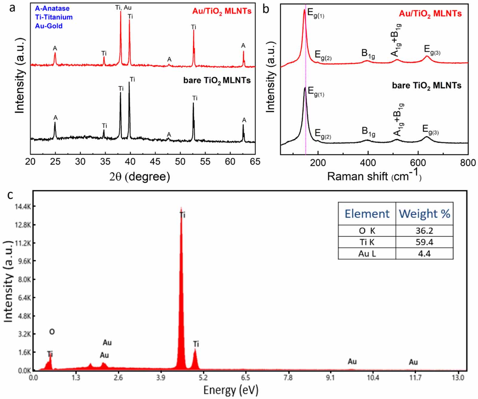 TiO2 multi-leg nanotubes for surface-enhanced Raman scattering - IOPscience