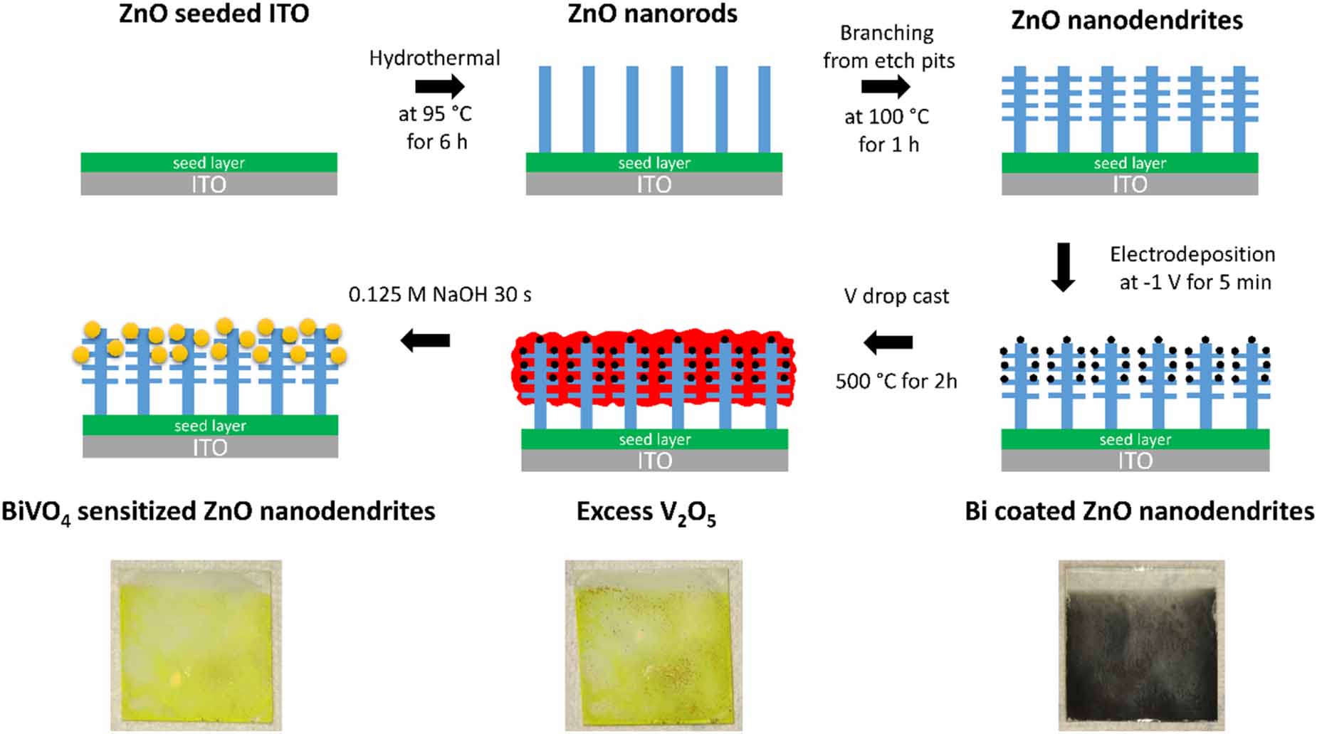 Nesting BiVO4 nanoislands in ZnO nanodendrites by two-step ...