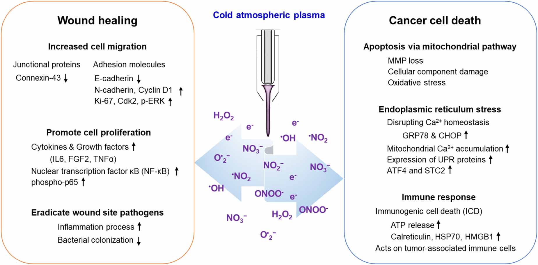 Clinical application of cold atmospheric-pressure plasma: mechanisms ...