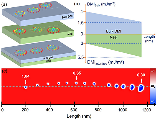 Manipulation of hybrid skyrmion dynamics by step Dzyaloshinskii–Moriya ...