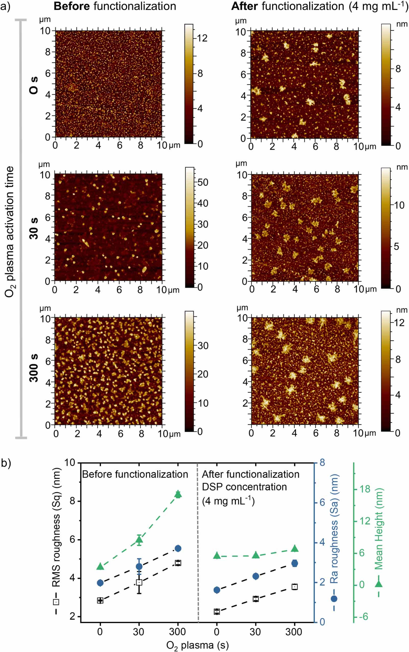Immobilizing antibody biorecognition layers on Au–TiO2 thin films ...