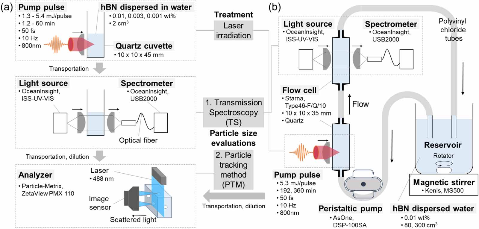 In-line monitoring and modelling of particle size reduction of ...