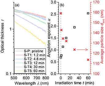 In-line monitoring and modelling of particle size reduction of ...