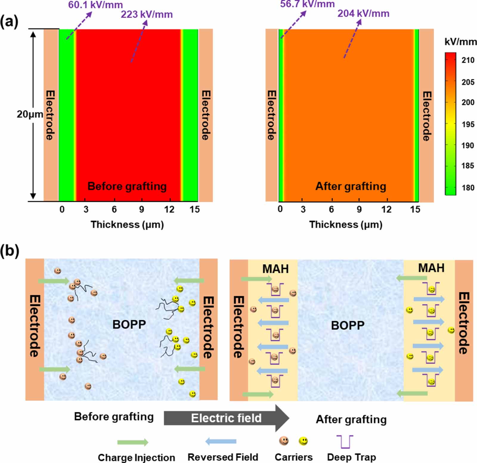 Enhanced energy density of BOPP film by MAH grafting for metallized ...