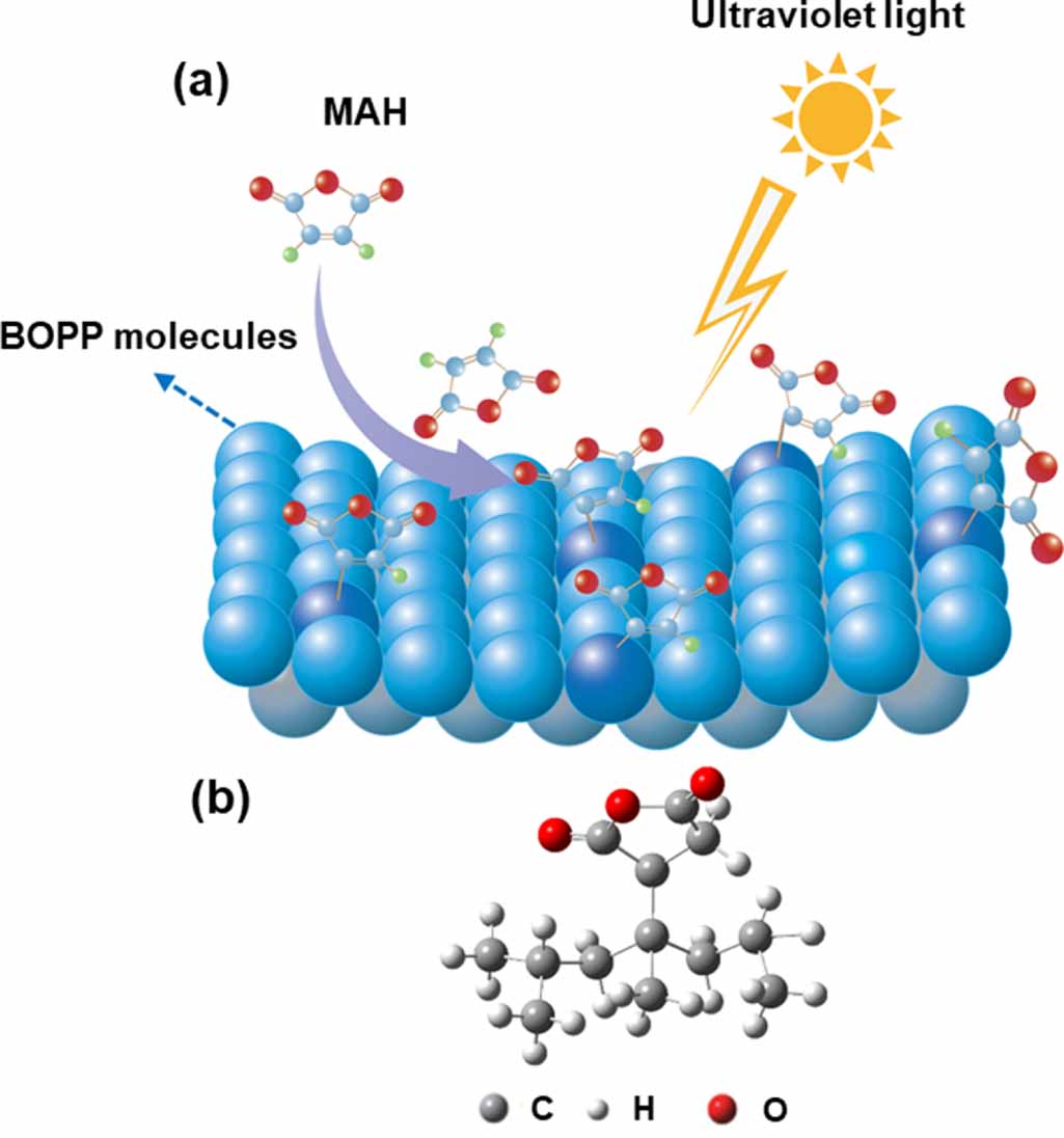 Enhanced energy density of BOPP film by MAH grafting for metallized ...