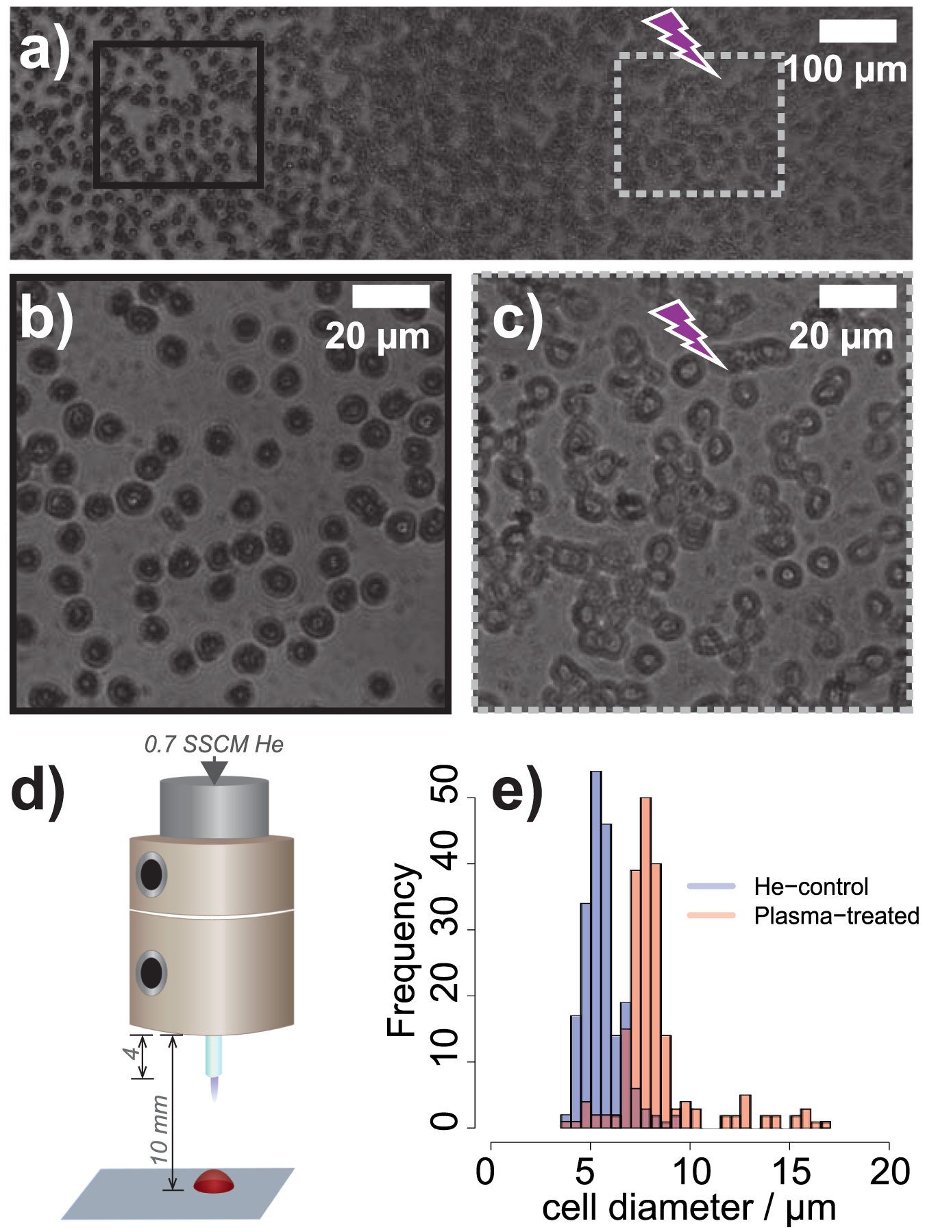 Oxidative aggregation of hemoglobin–a mechanism for low-temperature ...