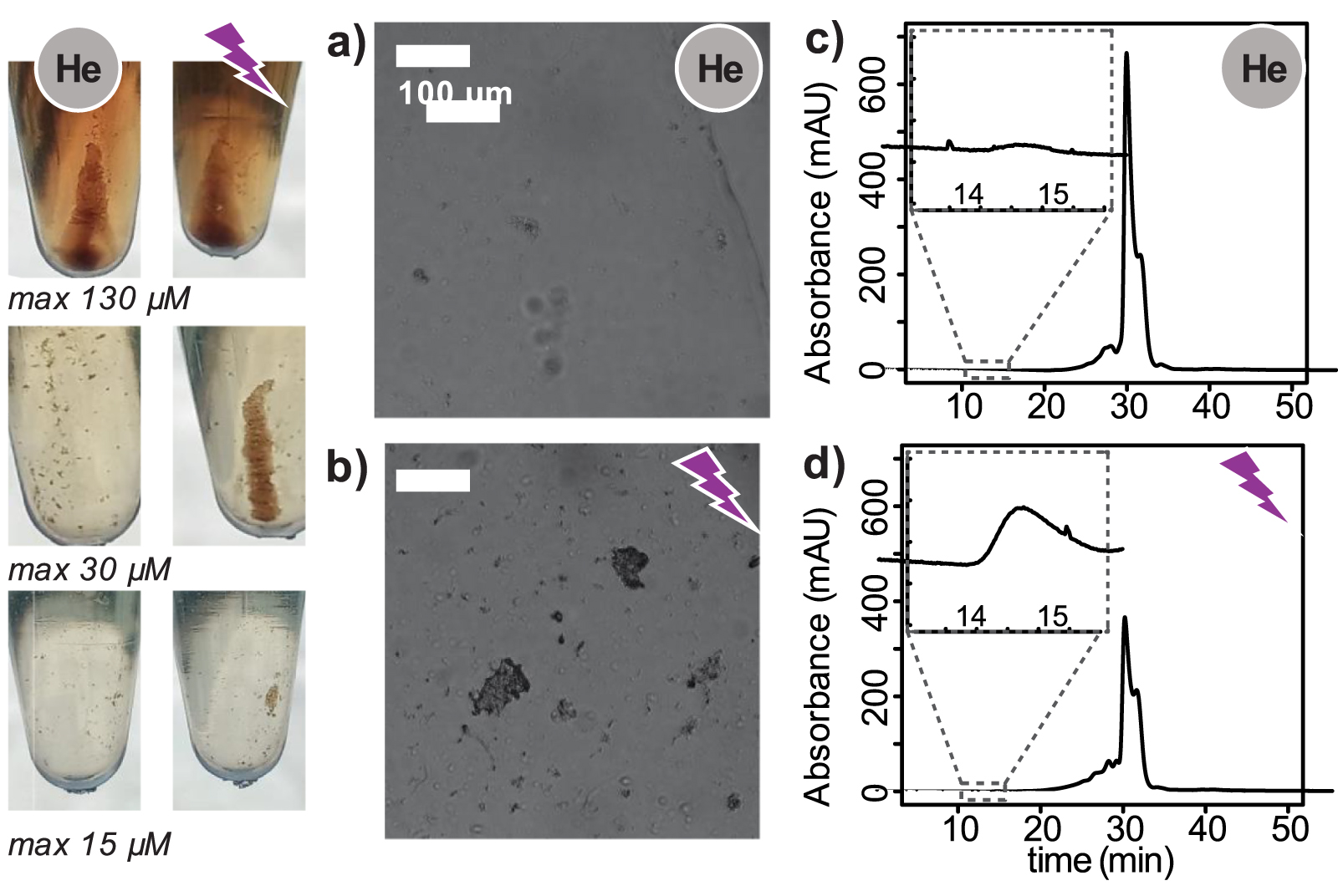Oxidative aggregation of hemoglobin–a mechanism for low-temperature ...
