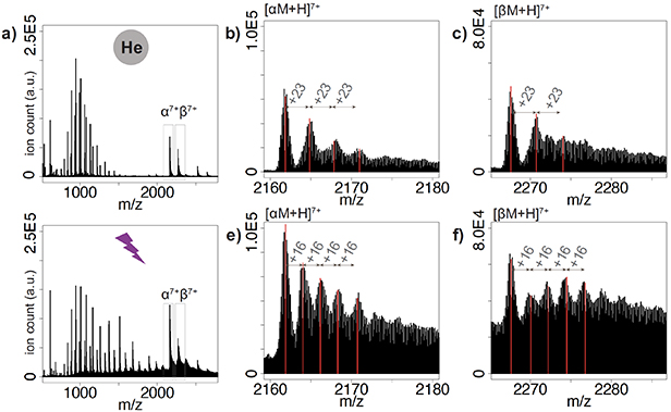 Oxidative aggregation of hemoglobin–a mechanism for low-temperature ...