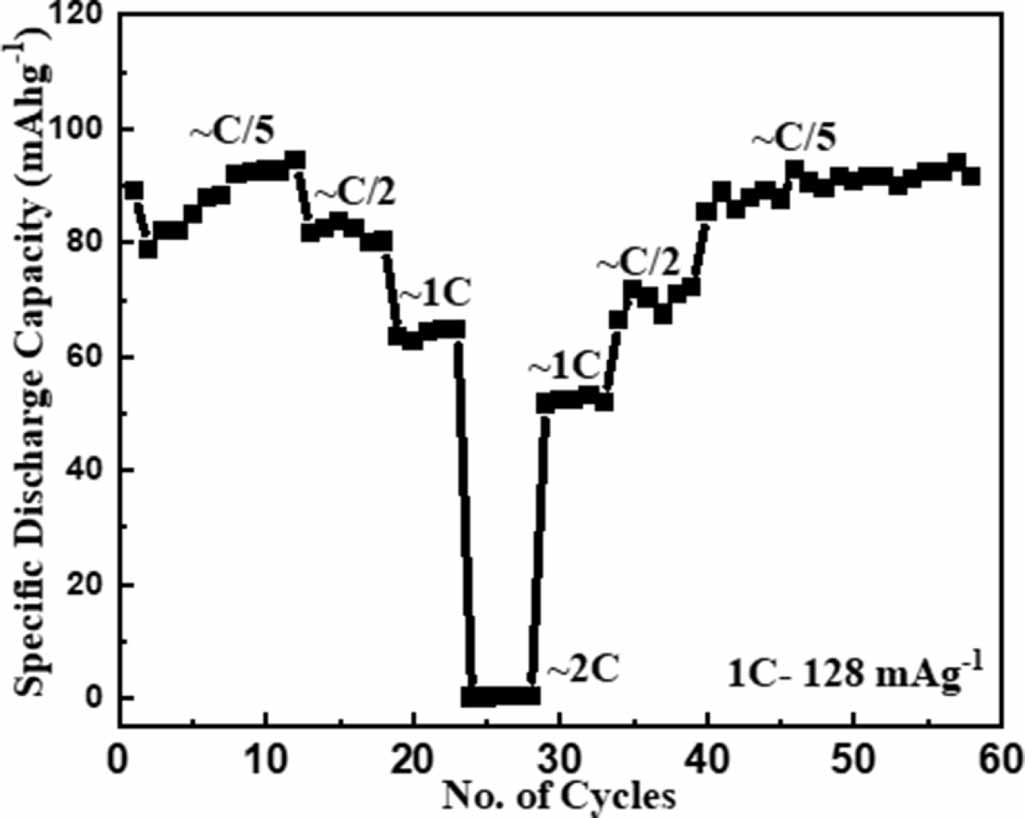 Electrochemical studies and diffusion kinetics in the Chevrel phase ...