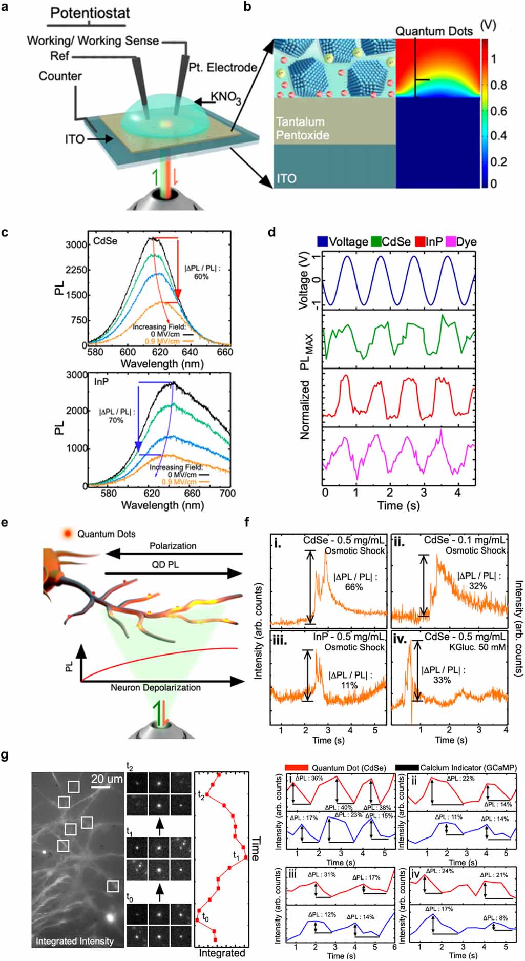 Advances in optical recording techniques for non-invasive monitoring of ...