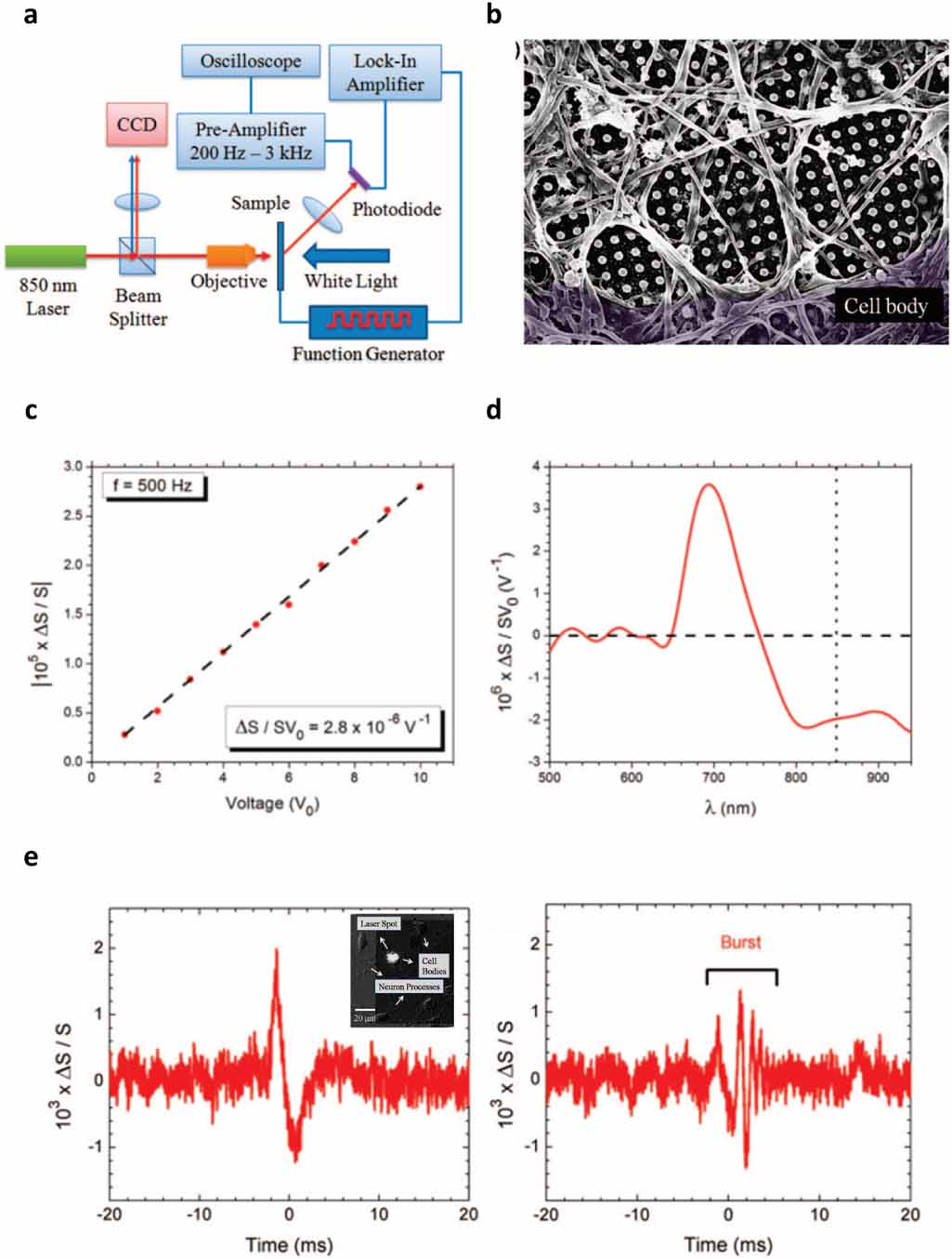 Advances in optical recording techniques for non-invasive monitoring of ...