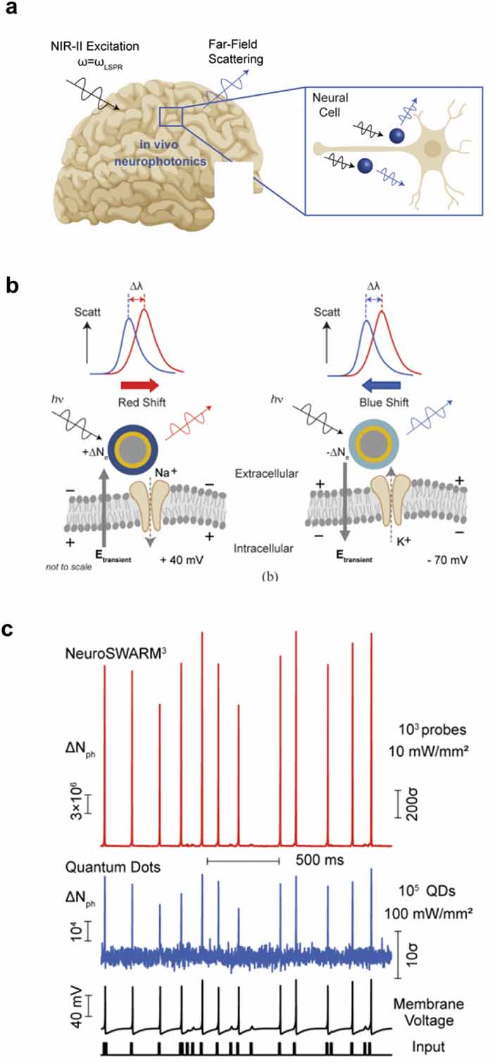 Advances in optical recording techniques for non-invasive monitoring of ...