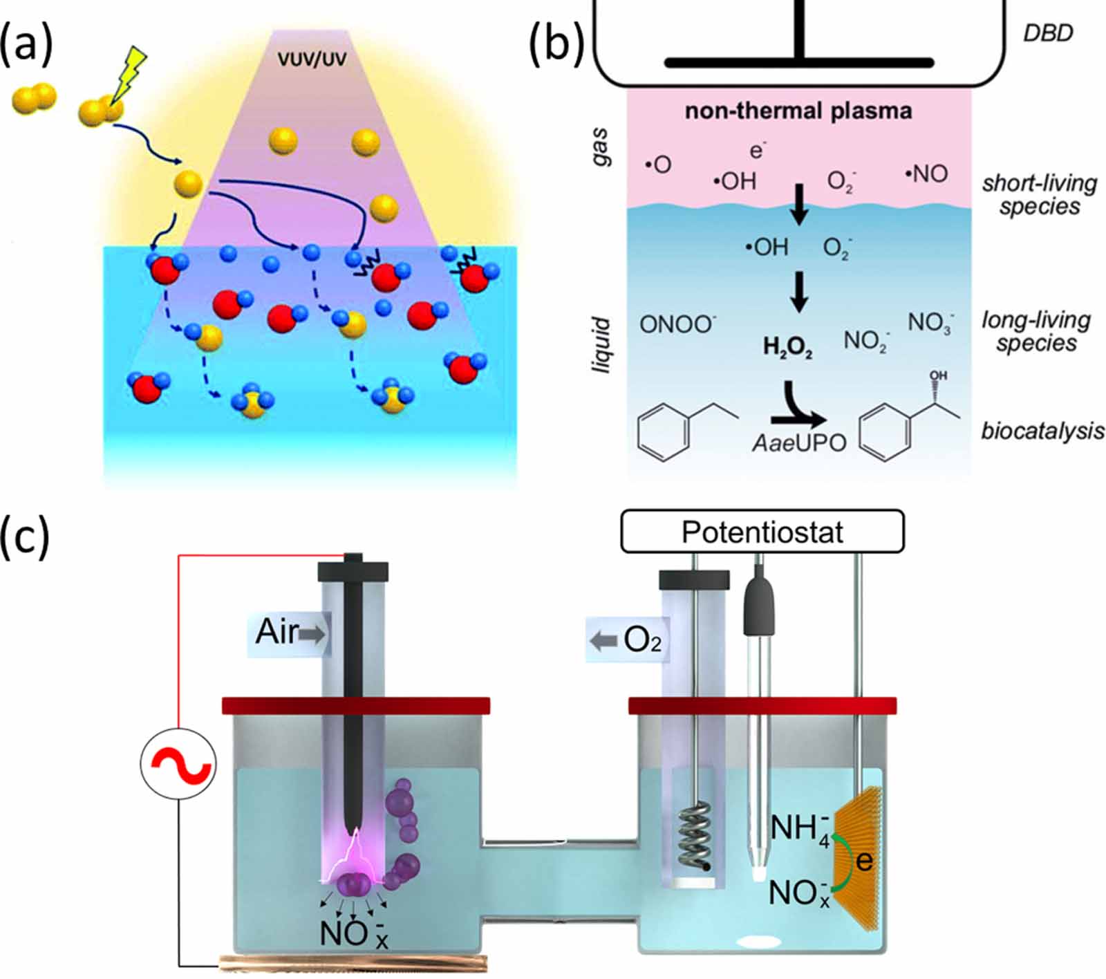 Plasma power-to-X (PP2X): status and opportunities for non-thermal ...