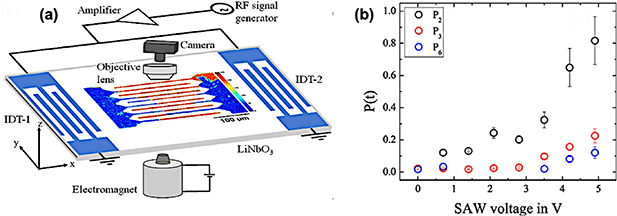 Magnetic domain walls: types, processes and applications - IOPscience