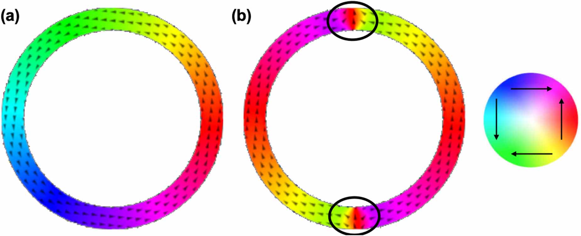 Magnetic domain walls: types, processes and applications - IOPscience