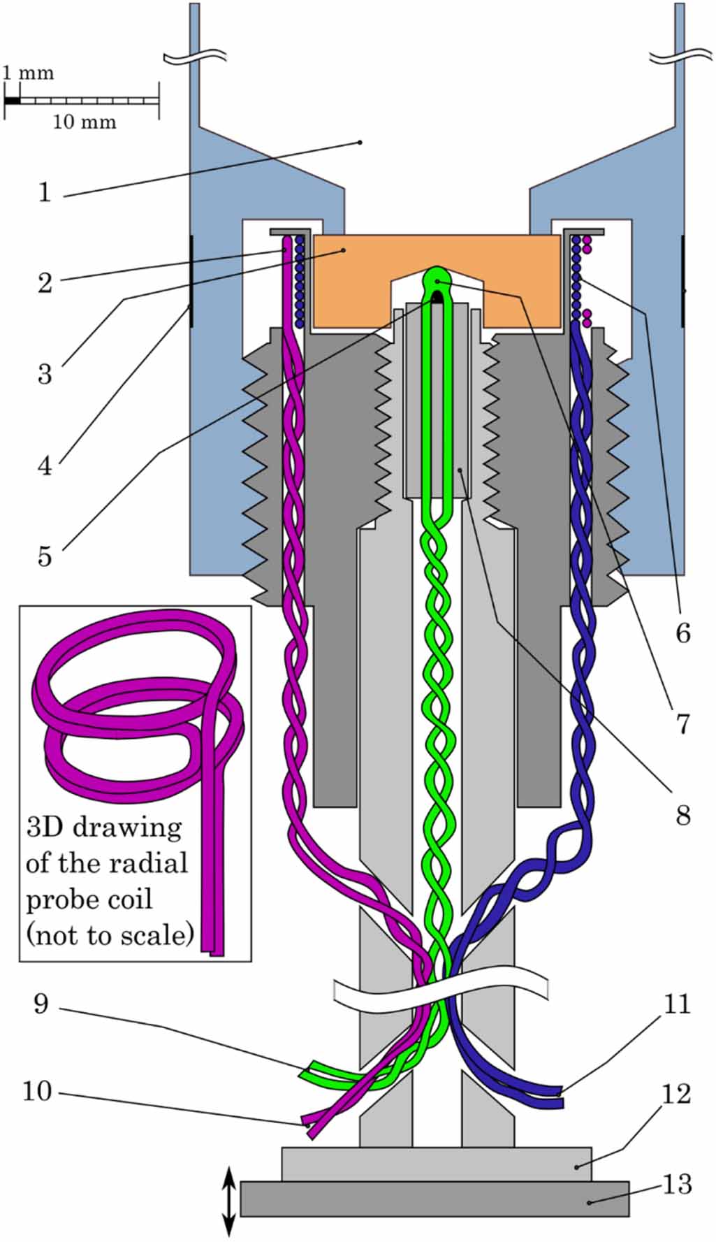 Experimental observation of the vertical displacement between heating ...
