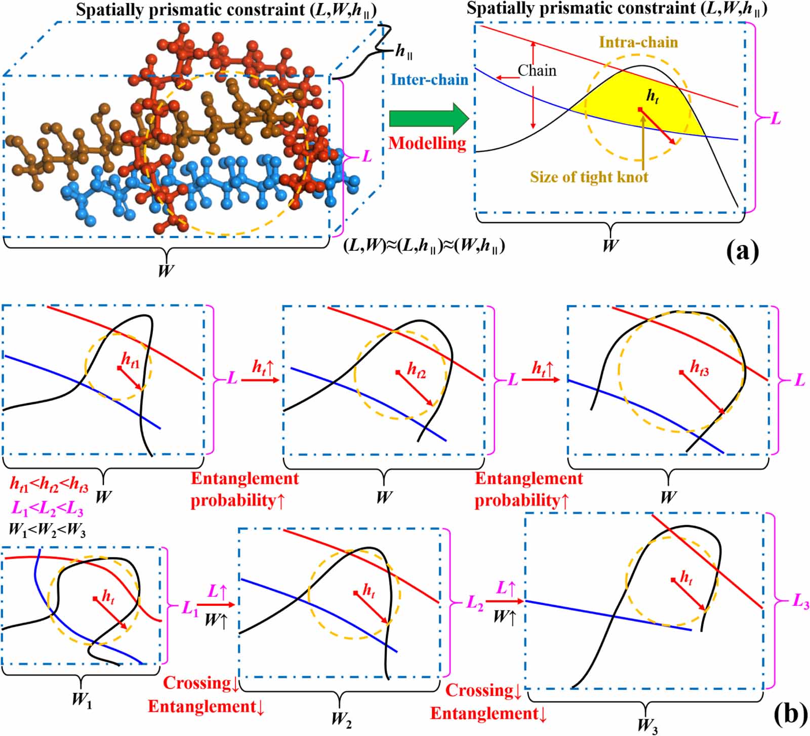 An entanglement constraint model of topological knot in highly entangled gel towards ultra-high ...