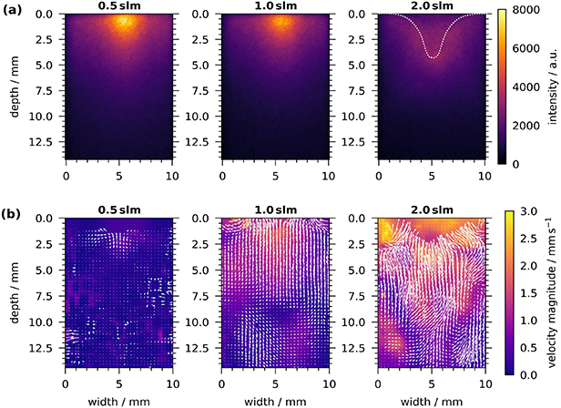 Transportation behaviour of OH and H2O2 in plasma-treated water ...