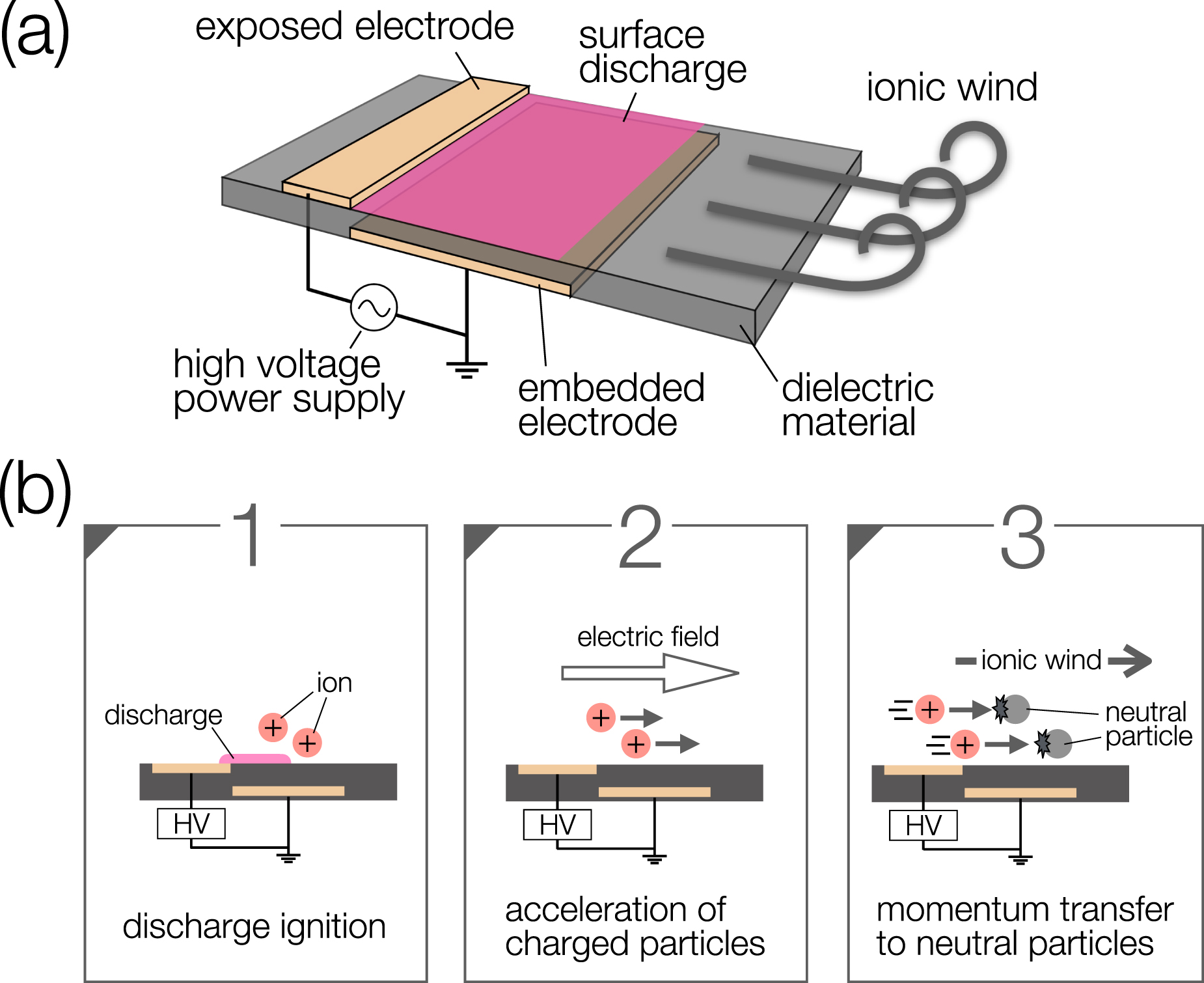 Role of surface discharge dynamics in the generation of ...