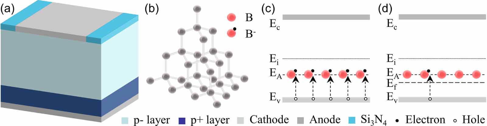 A physical model of a diamond vertical Schottky diode including ...