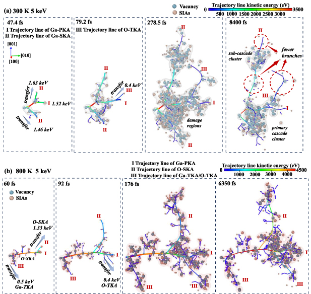 Radiation resistance and defect evolution in bulk β-Ga2O3: a molecular ...